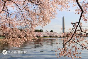 East Coast Spring Break: Adventures From Beach to Mountain