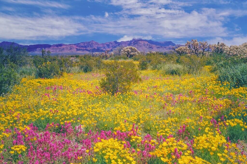 US National Parks With Timed Entry Pass Requirements - 2025 Dates You ...